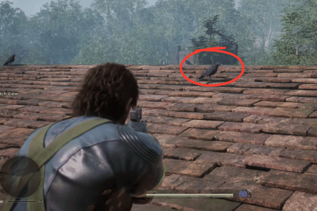All Food Item Locations in Metal Gear Solid 3 Remake Delta - Patch Crazy