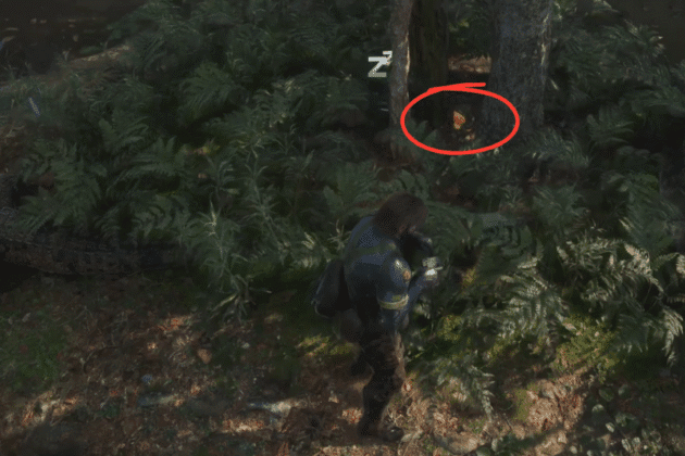 All Ducks (GA-KO Collectable Locations) in Metal Gear Solid 3: Delta ...