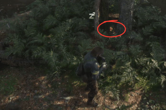 All Ducks (GA-KO Collectable Locations) in Metal Gear Solid 3: Delta ...