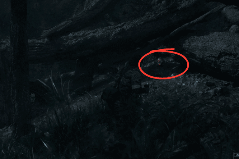 All Ducks (GA-KO Collectable Locations) in Metal Gear Solid 3: Delta ...
