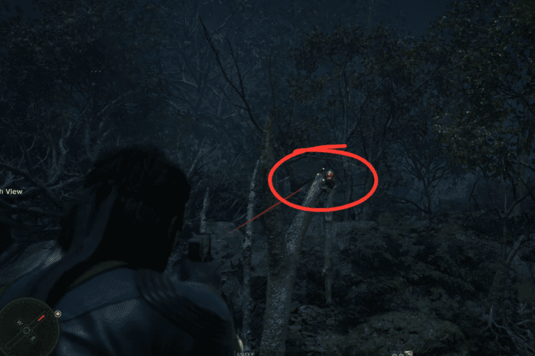 All Ducks (GA-KO Collectable Locations) in Metal Gear Solid 3: Delta ...