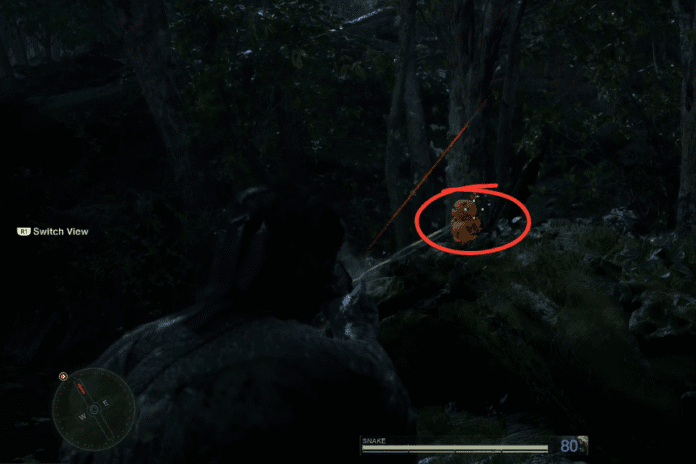 All Ducks (GA-KO Collectable Locations) in Metal Gear Solid 3: Delta ...