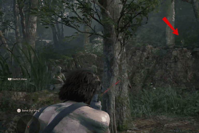 All Ducks (GA-KO Collectable Locations) in Metal Gear Solid 3: Delta ...