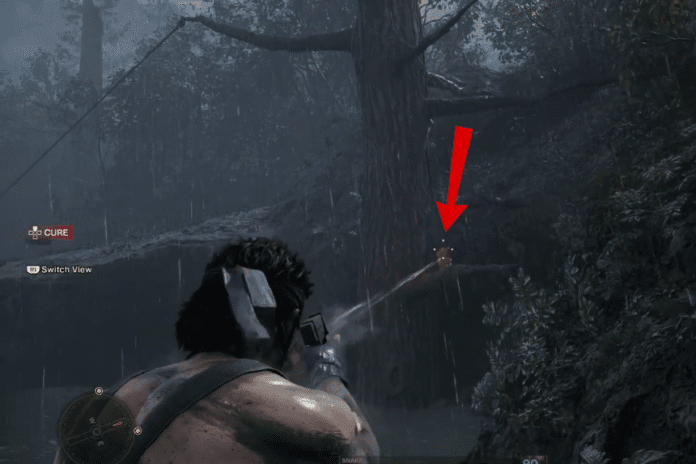 All Ducks (GA-KO Collectable Locations) in Metal Gear Solid 3: Delta ...