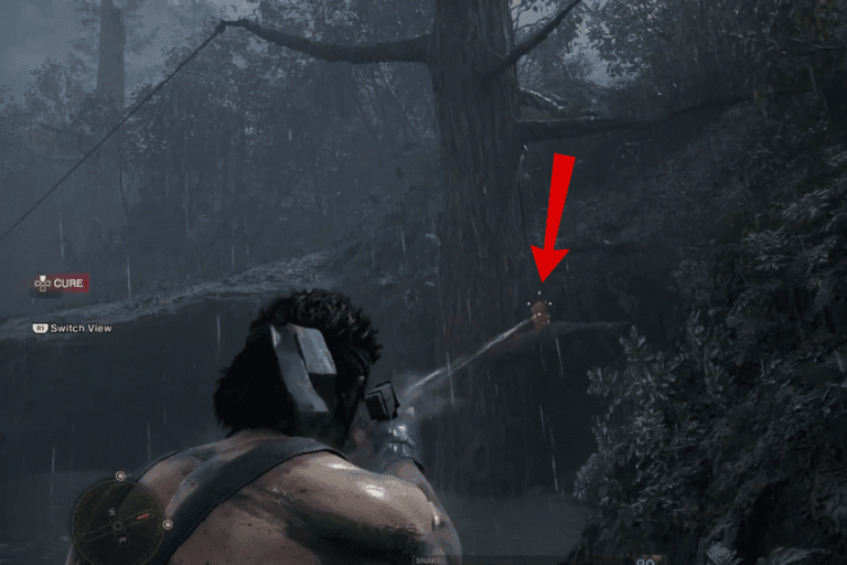 All Ducks (GA-KO Collectable Locations) in Metal Gear Solid 3: Delta ...