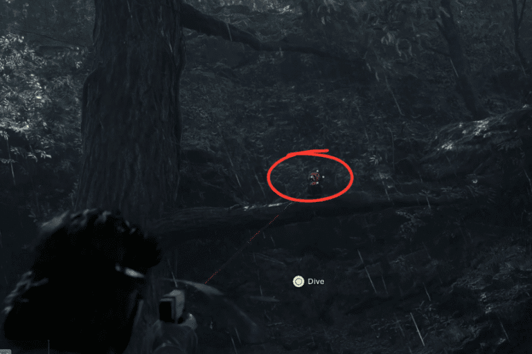 All Ducks (GA-KO Collectable Locations) in Metal Gear Solid 3: Delta ...