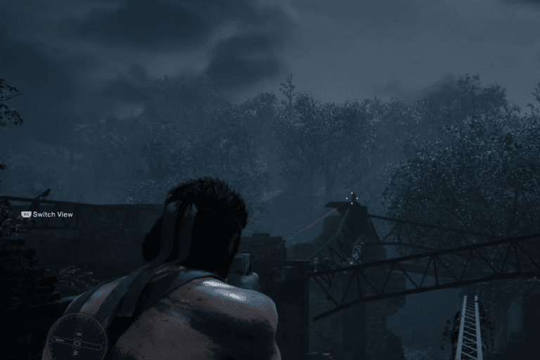 All Ducks (GA-KO Collectable Locations) in Metal Gear Solid 3: Delta ...