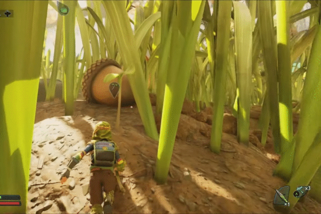 How to Find Acorns in Grounded 2 - Patch Crazy