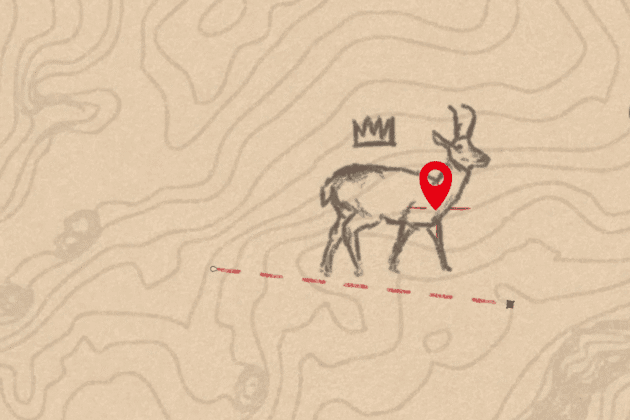 RDR2 All Legendary Animals Locations - Patch Crazy