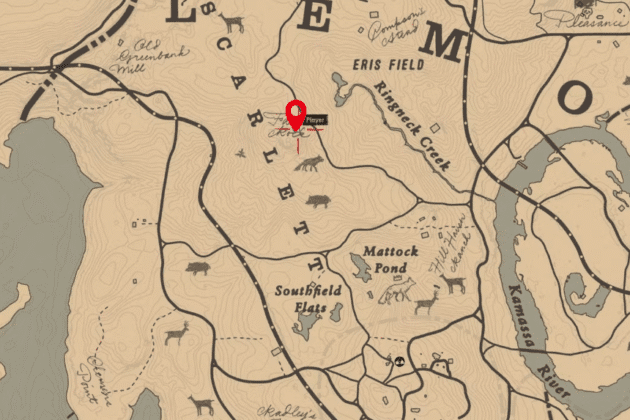 All Red Dead Redemption 2 Treasure Map Locations & Solutions - Patch Crazy