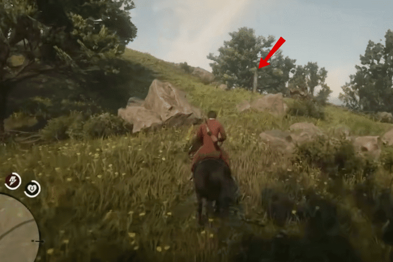 All Red Dead Redemption 2 Treasure Map Locations & Solutions - Patch Crazy