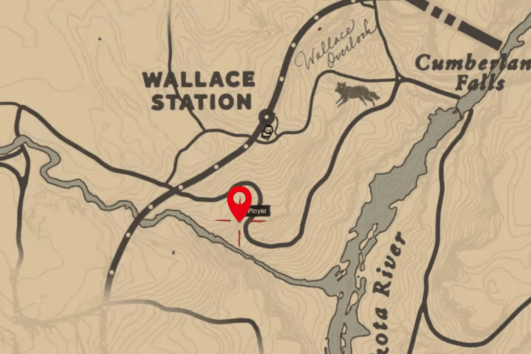 All Red Dead Redemption 2 Treasure Map Locations & Solutions - Patch Crazy