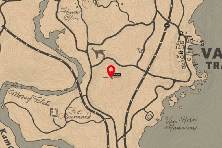 All Red Dead Redemption 2 Treasure Map Locations & Solutions - Patch Crazy