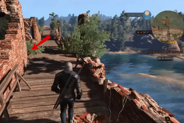 All Hidden Treasure Locations in White Orchard The Witcher 3: Wild Hunt ...